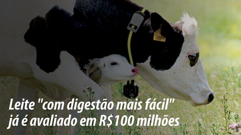 Um novo mercado à vista – Letti A²: O leite como sempre foi